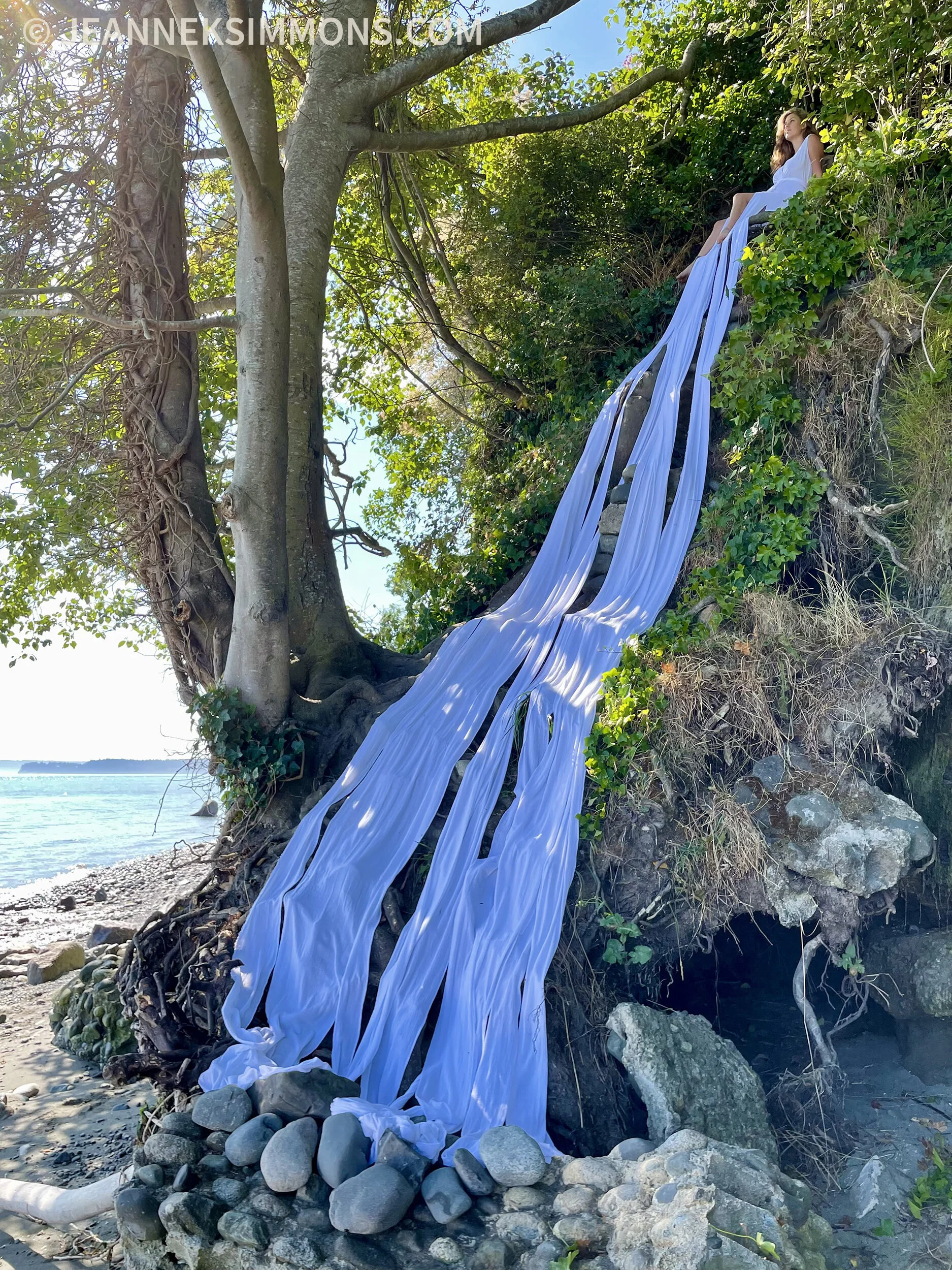 Jeanne K Simmons - Artist