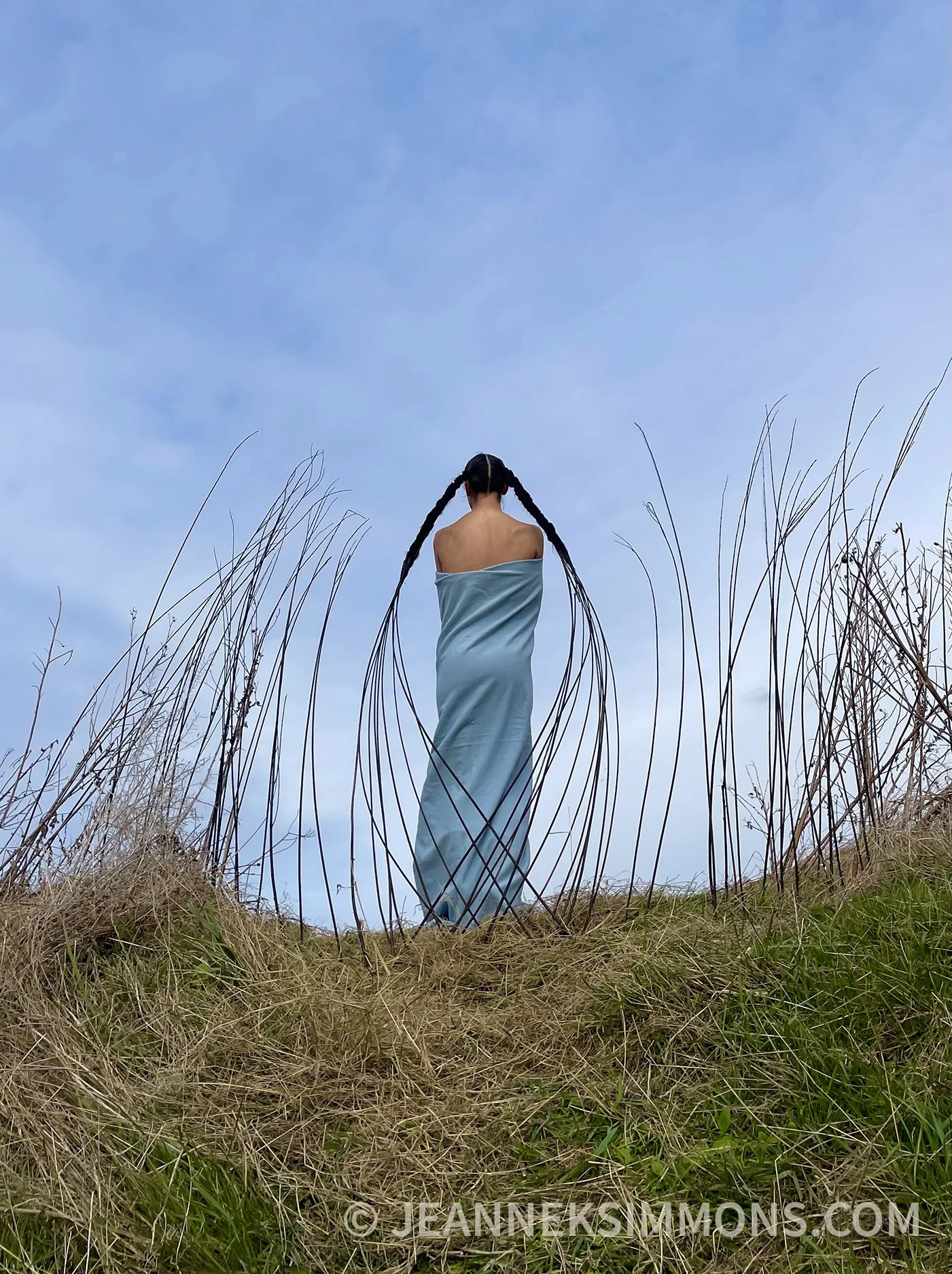 Jeanne K Simmons - Artist