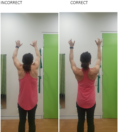 Rock climbing: stronger hands, stronger tendons — Sydney Health ...