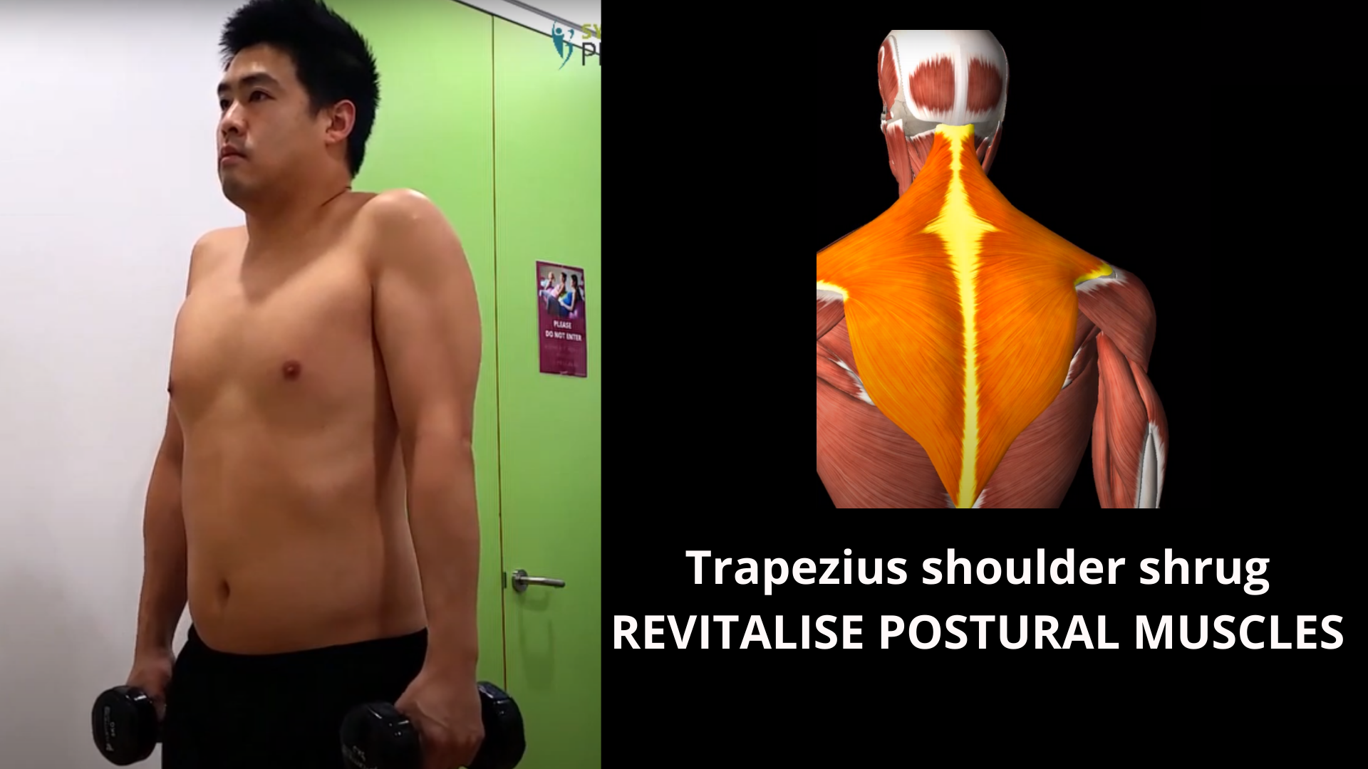Sydney Health Physiotherapy Resources - Shoulders — Sydney Health ...
