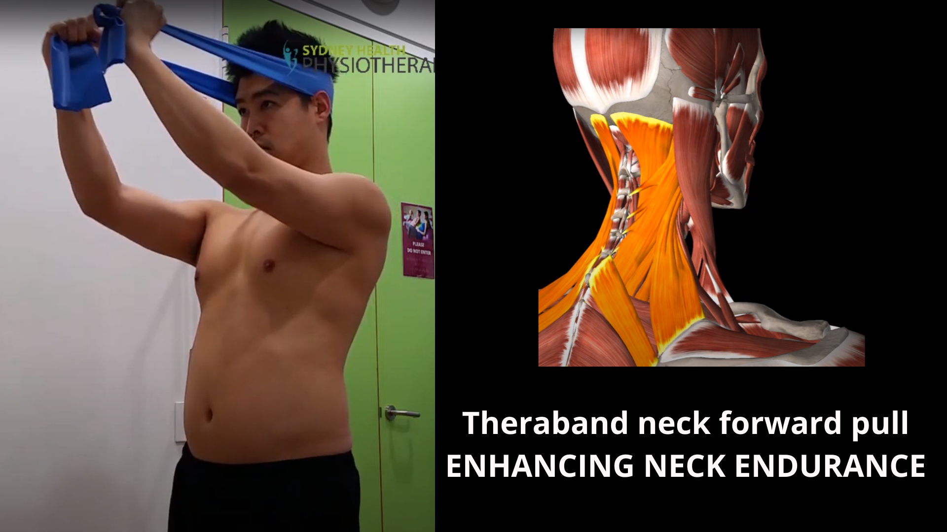 Sydney Health Physiotherapy Resources - Head & Neck — Sydney Health ...