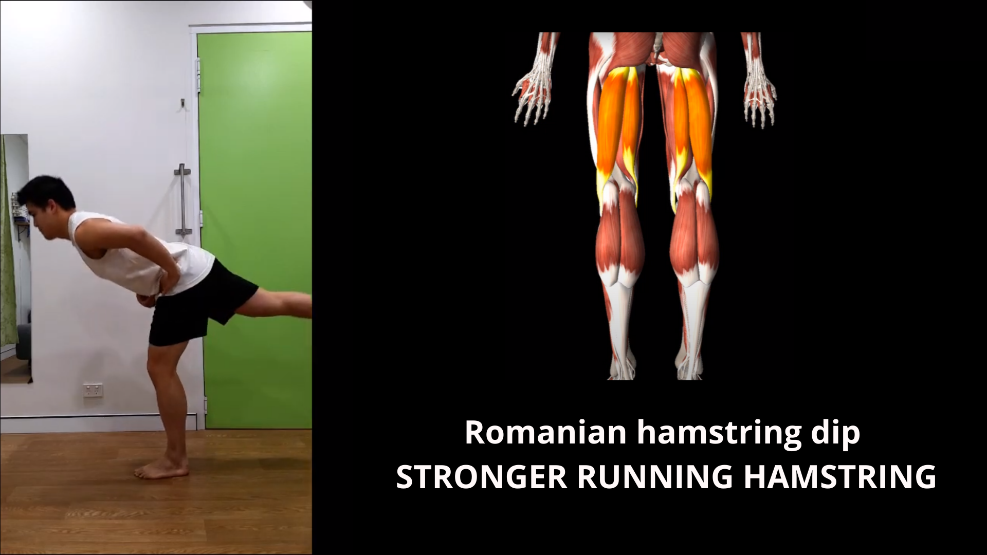 hamstring — Sydney Health Physiotherapy Exercises & Resources — Sydney ...