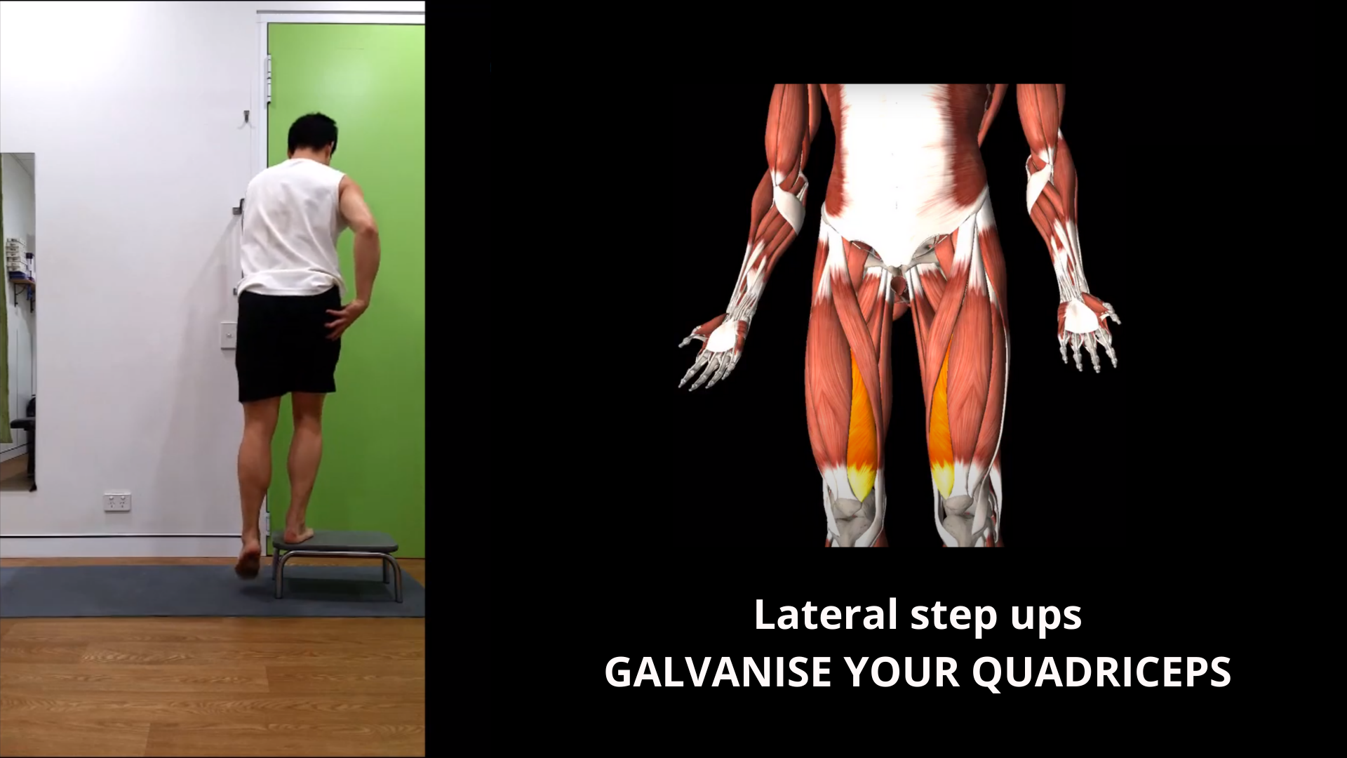 Step Ups Muscles Worked