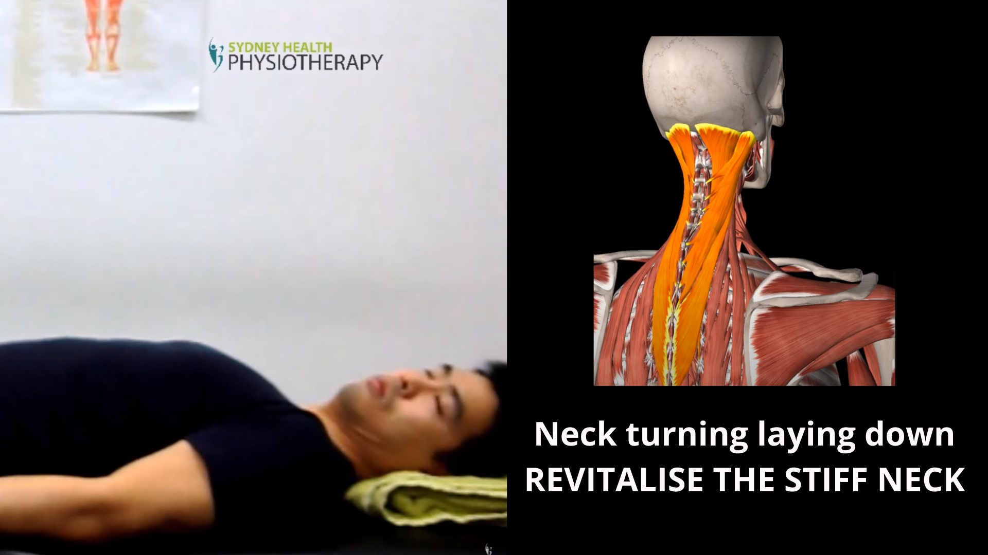 Sydney Health Physiotherapy Resources - Head & Neck — Sydney Health ...