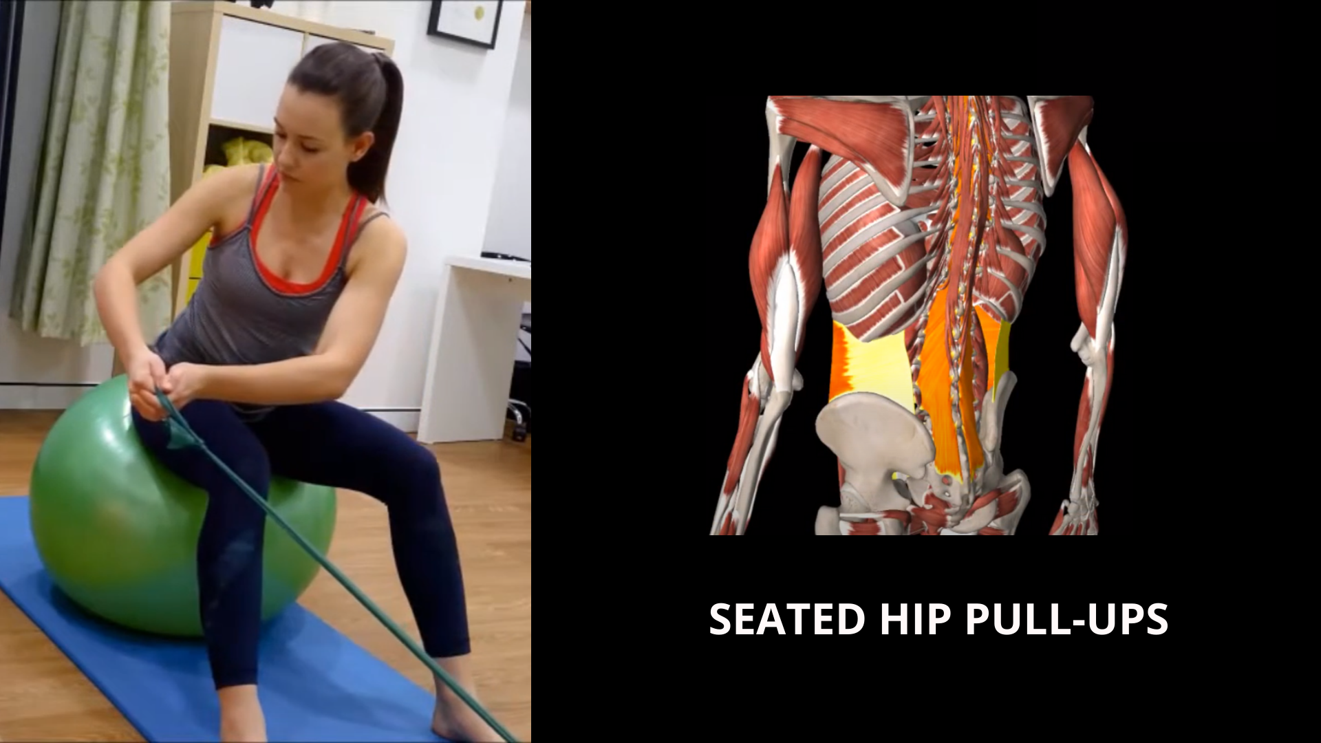 Sydney Health Physiotherapy Resources - Body Parts — Sydney Health ...