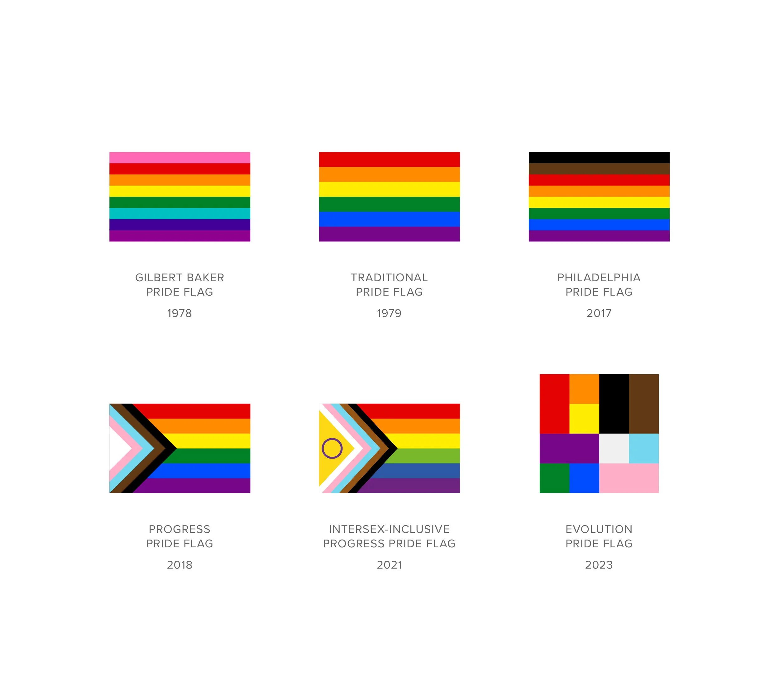 Evolution Pride Flag — Morris Design