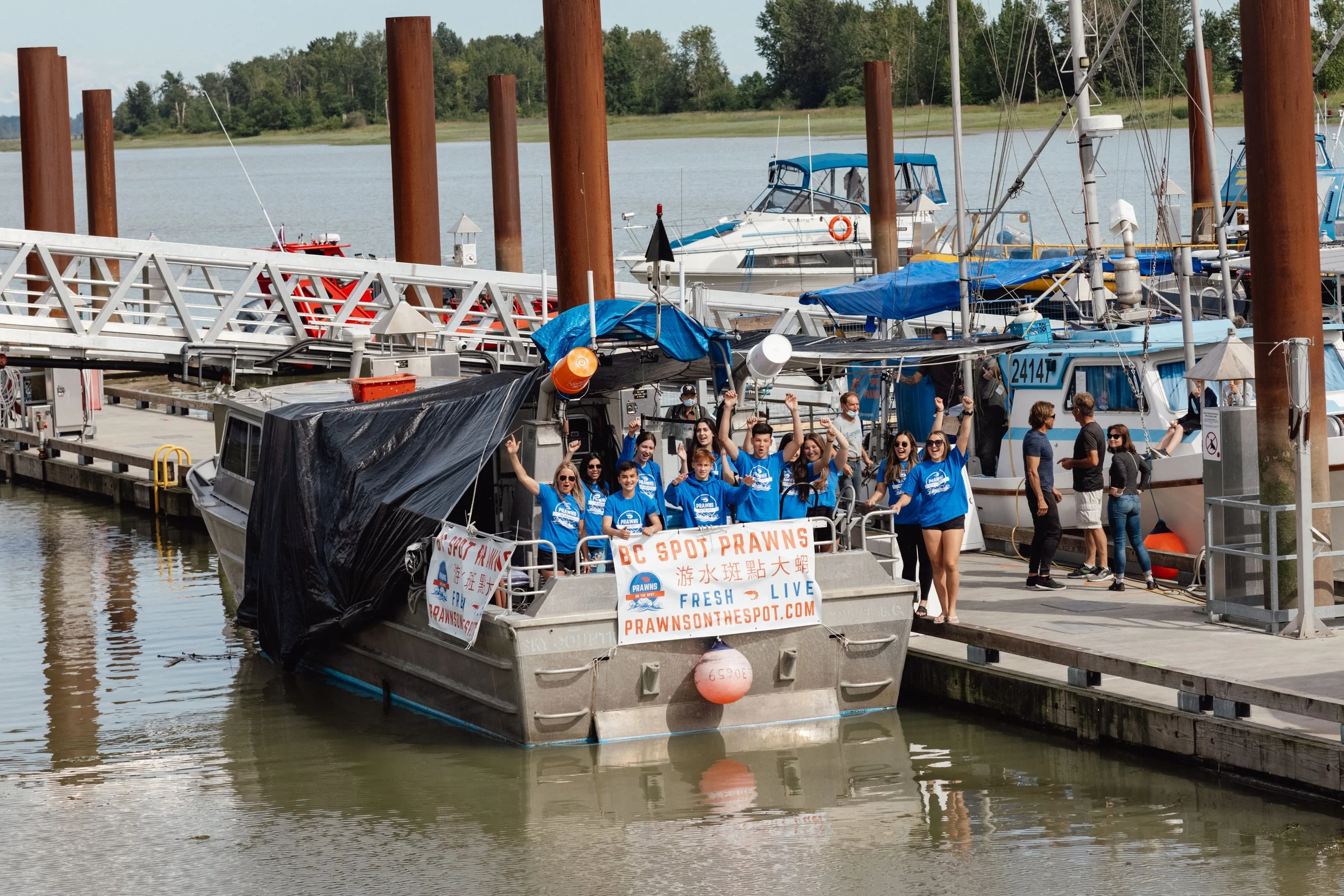 BC Spot Prawn Season 2023 — Prawns On The Spot