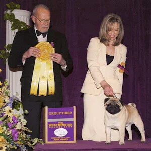 Membership — Canadian Professional Handlers Association