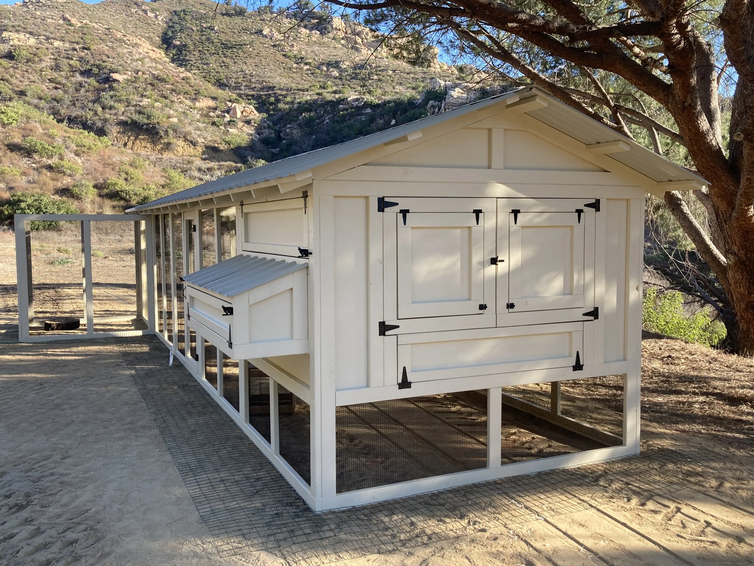 8' wide coops — She Shed Chicken Coops