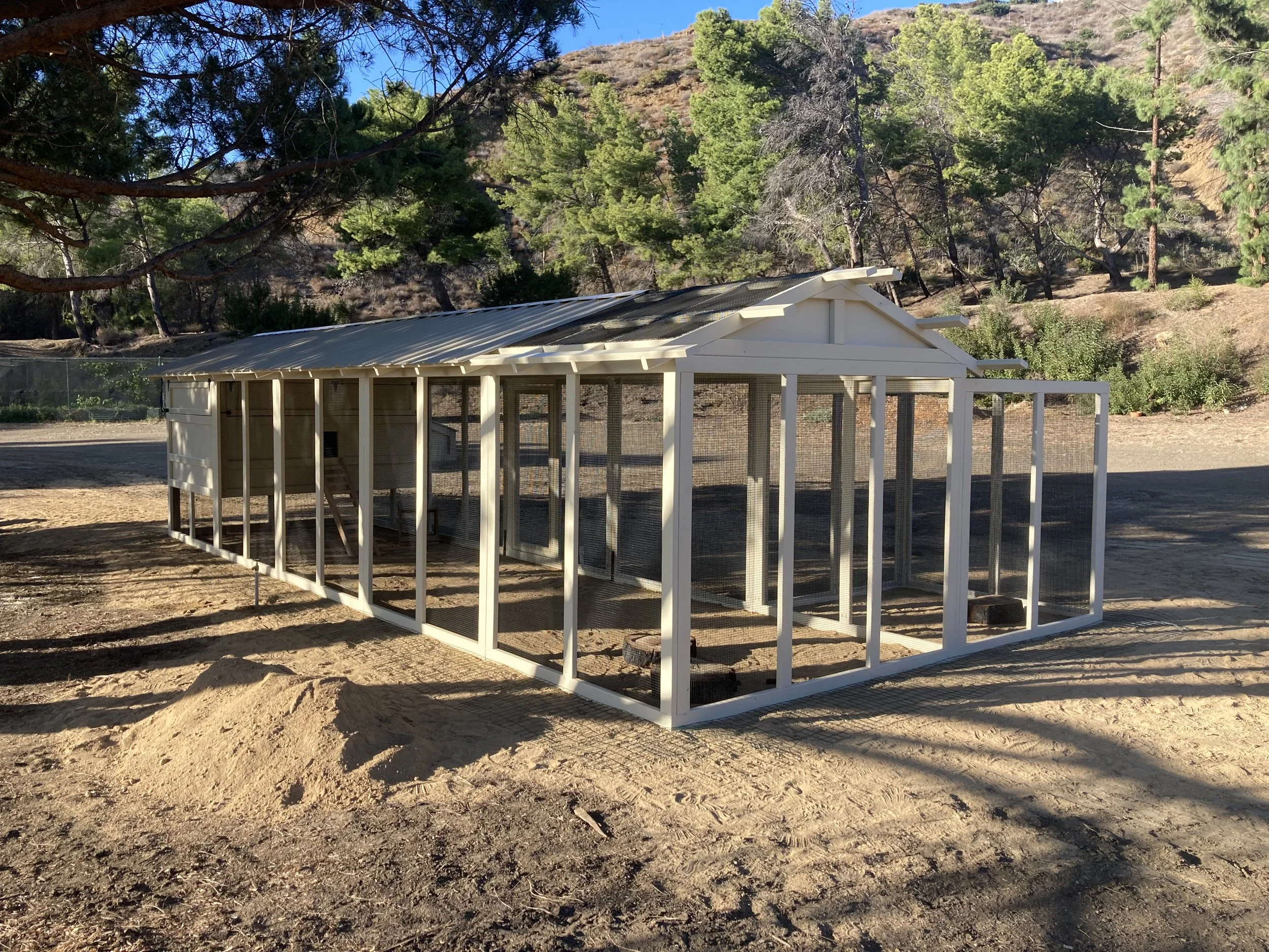 8' wide coops — She Shed Chicken Coops
