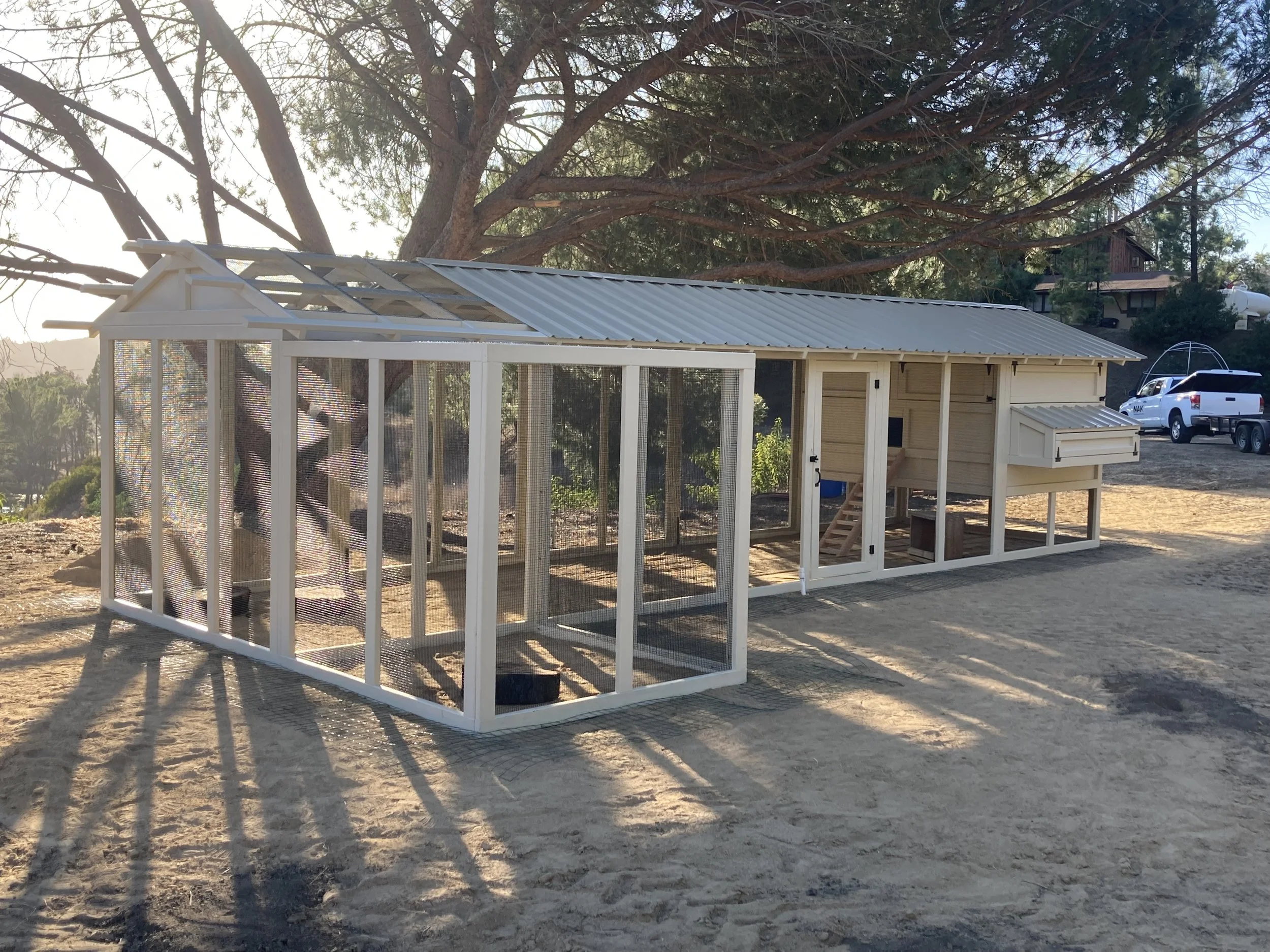 8' wide coops — She Shed Chicken Coops