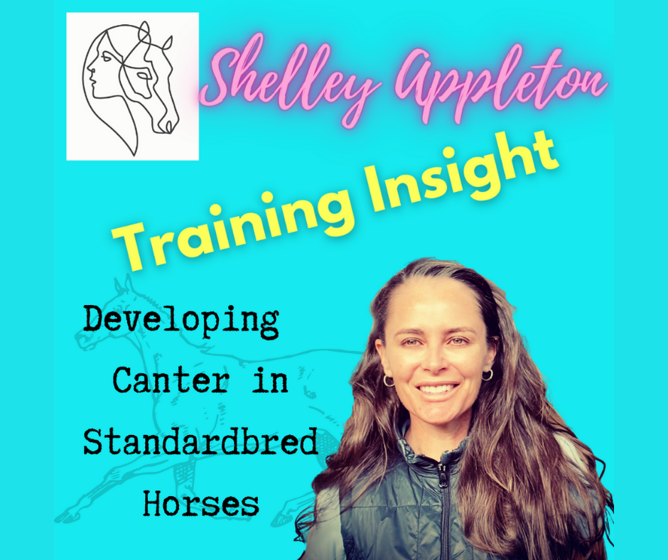 Developing canter in standardbred horses — Calm Willing Confident Horses
