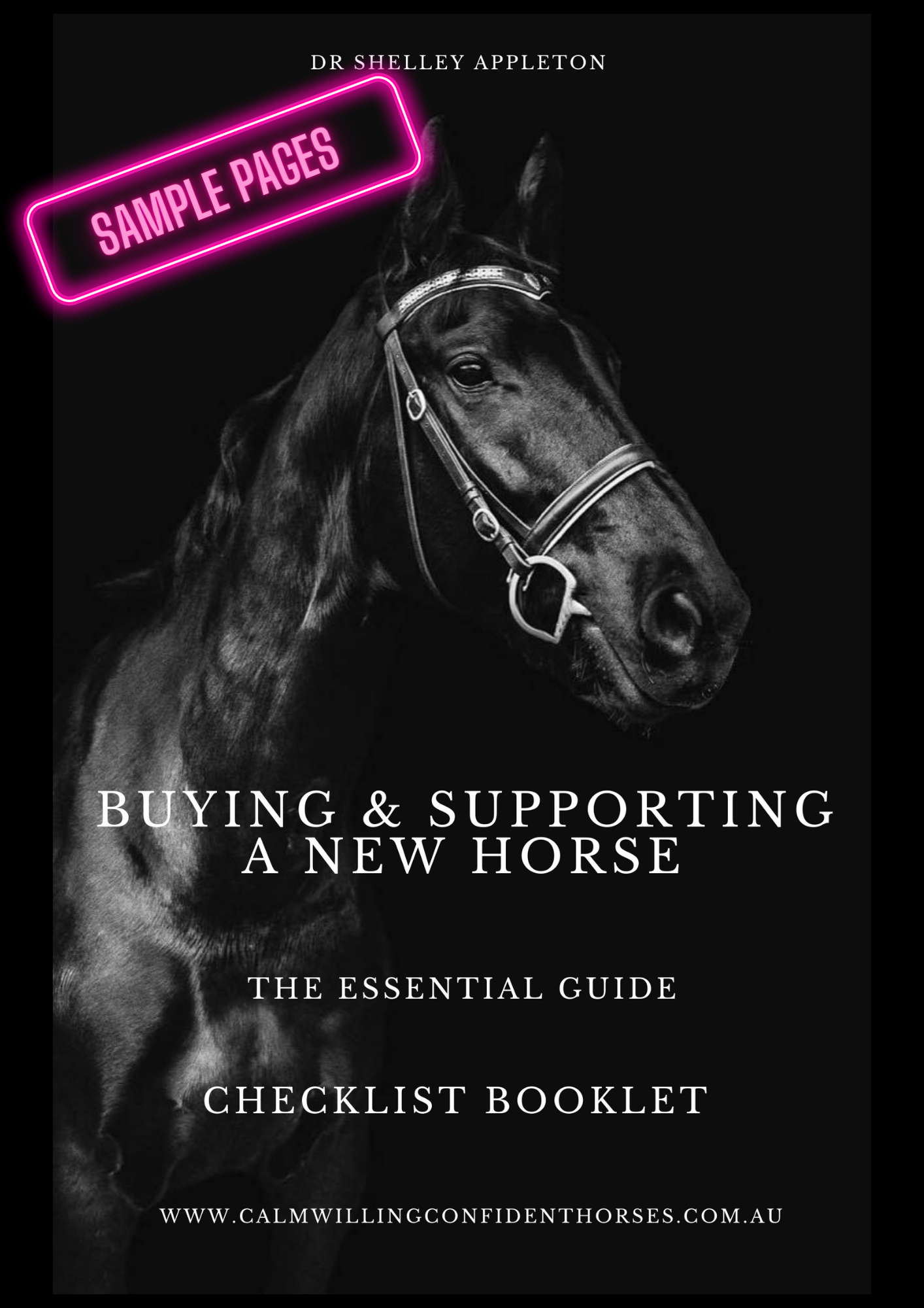 Horse buying guide — Calm Willing Confident Horses
