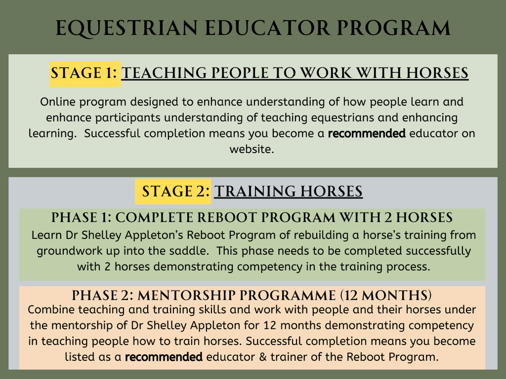 Equestrian Educators — Calm Willing Confident Horses