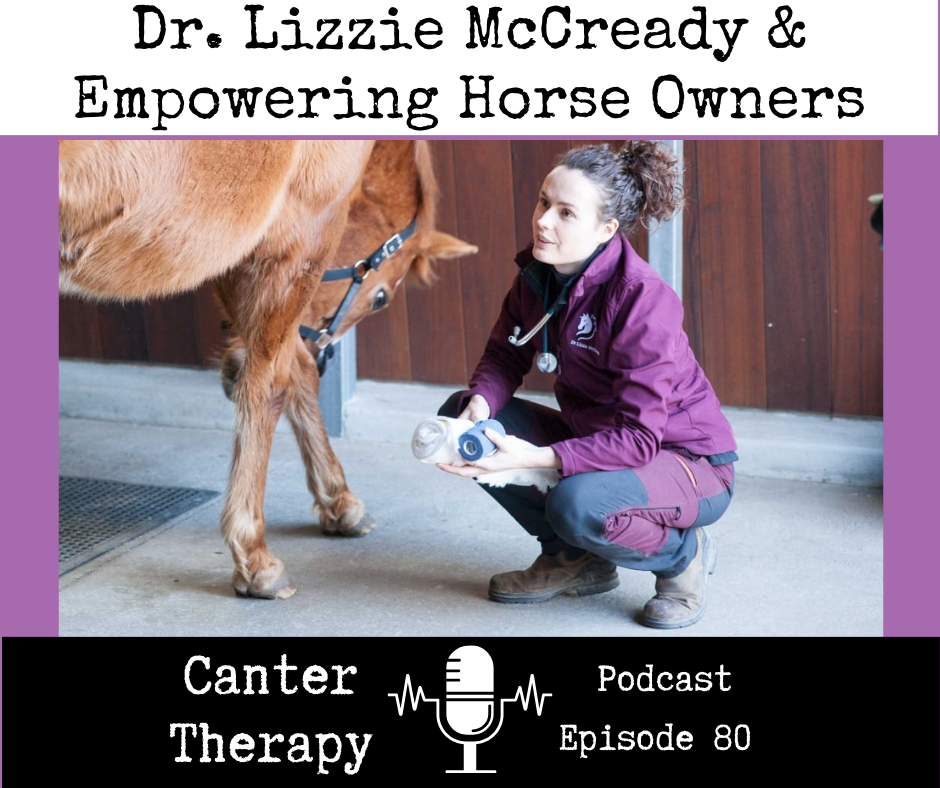 episode 80: Dr Lizzie mccready & empowering Horse owners — Calm Willing ...