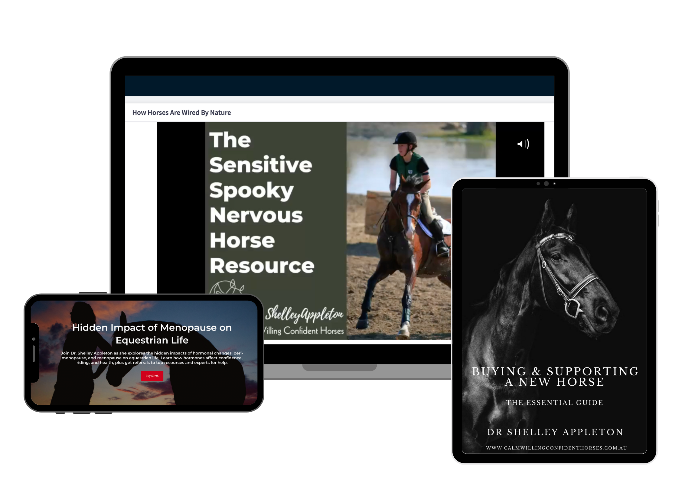 Programs & Resources | Calm Willing Confident Horses — Calm Willing ...