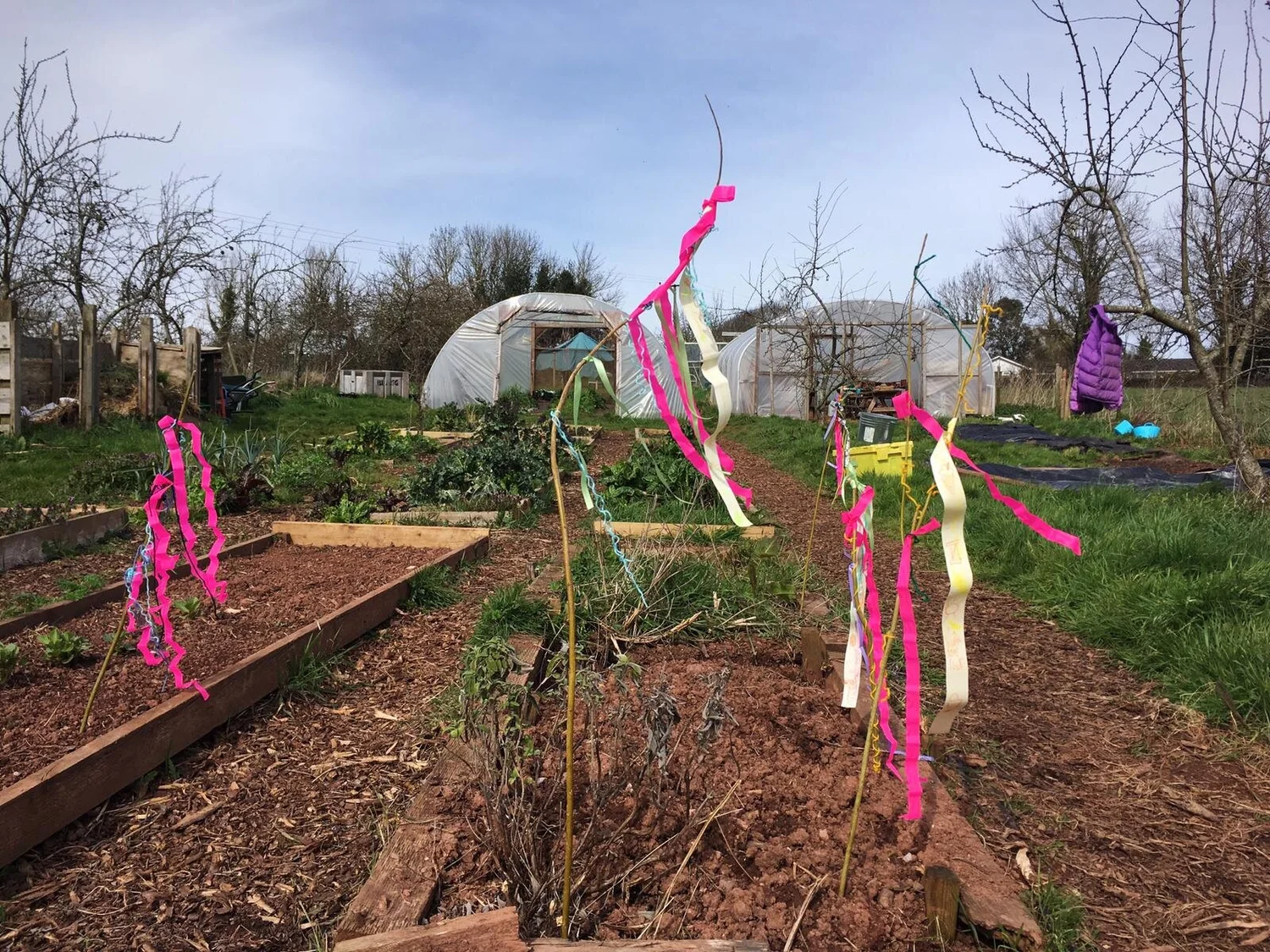 Shillingford Organics Farm School