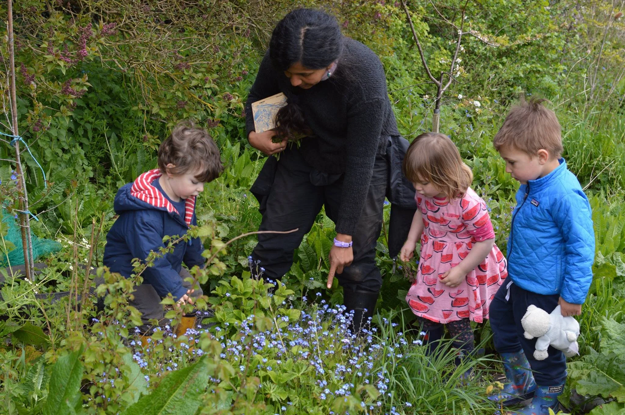 Store 1 — Shillingford Organics Farm School