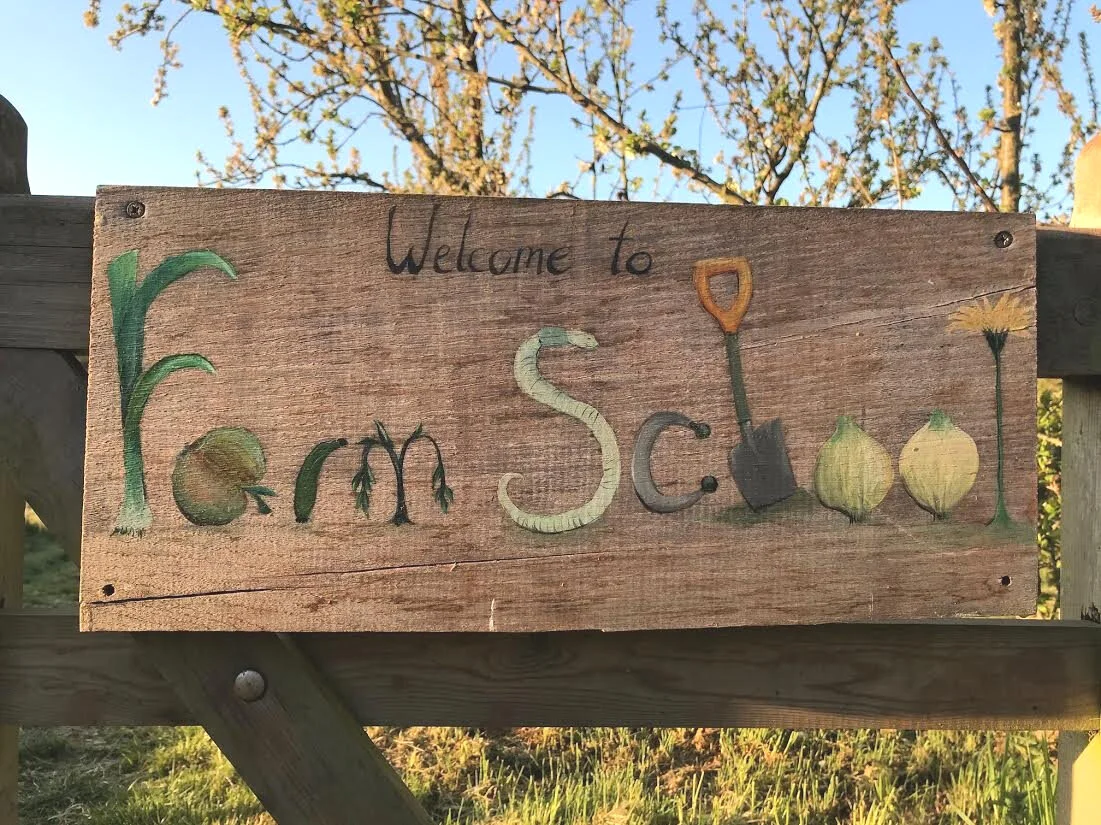 Shillingford Organics Farm School