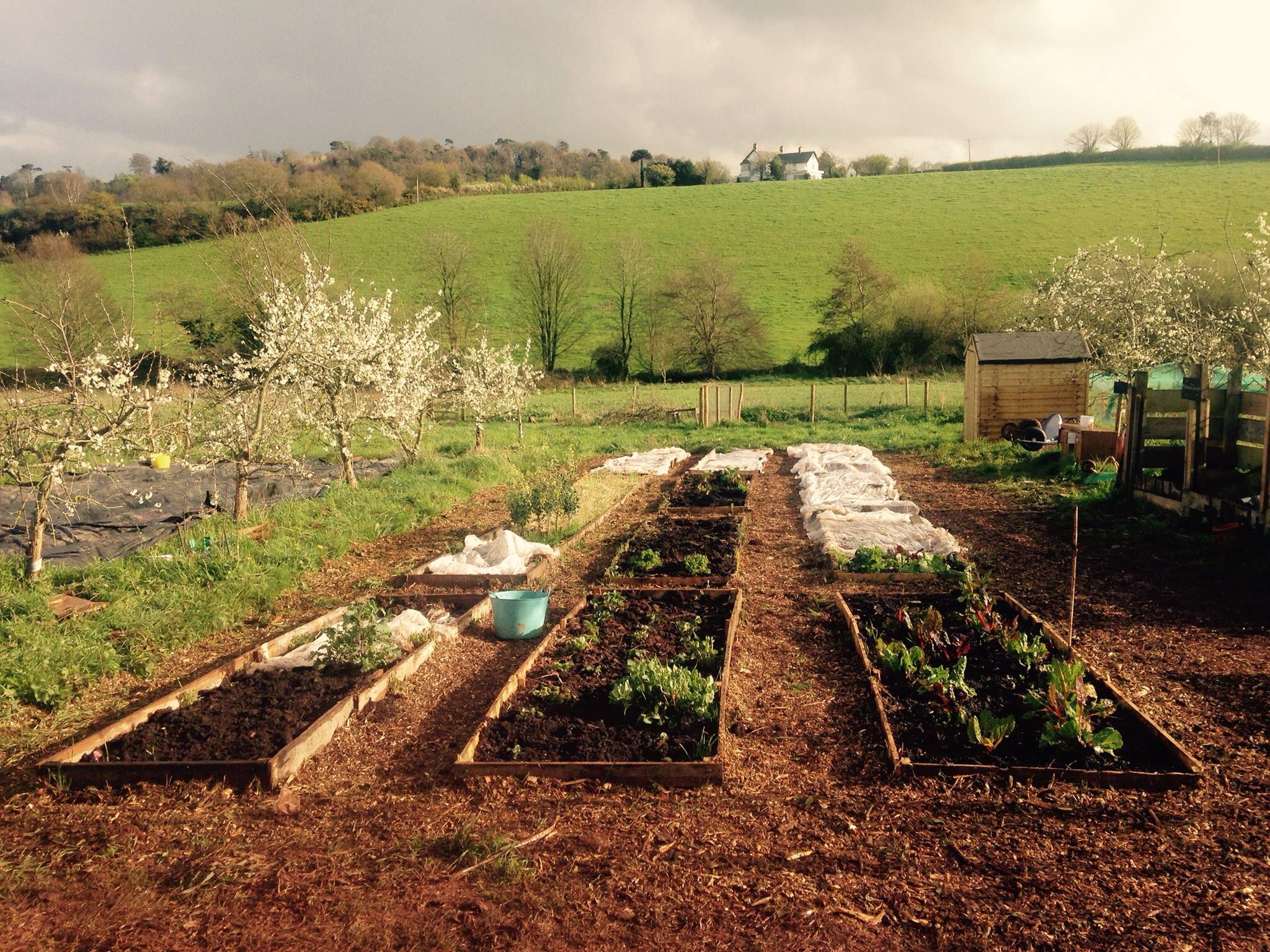 Shillingford Organics Farm School