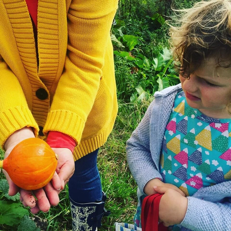 Shillingford Organics Farm School