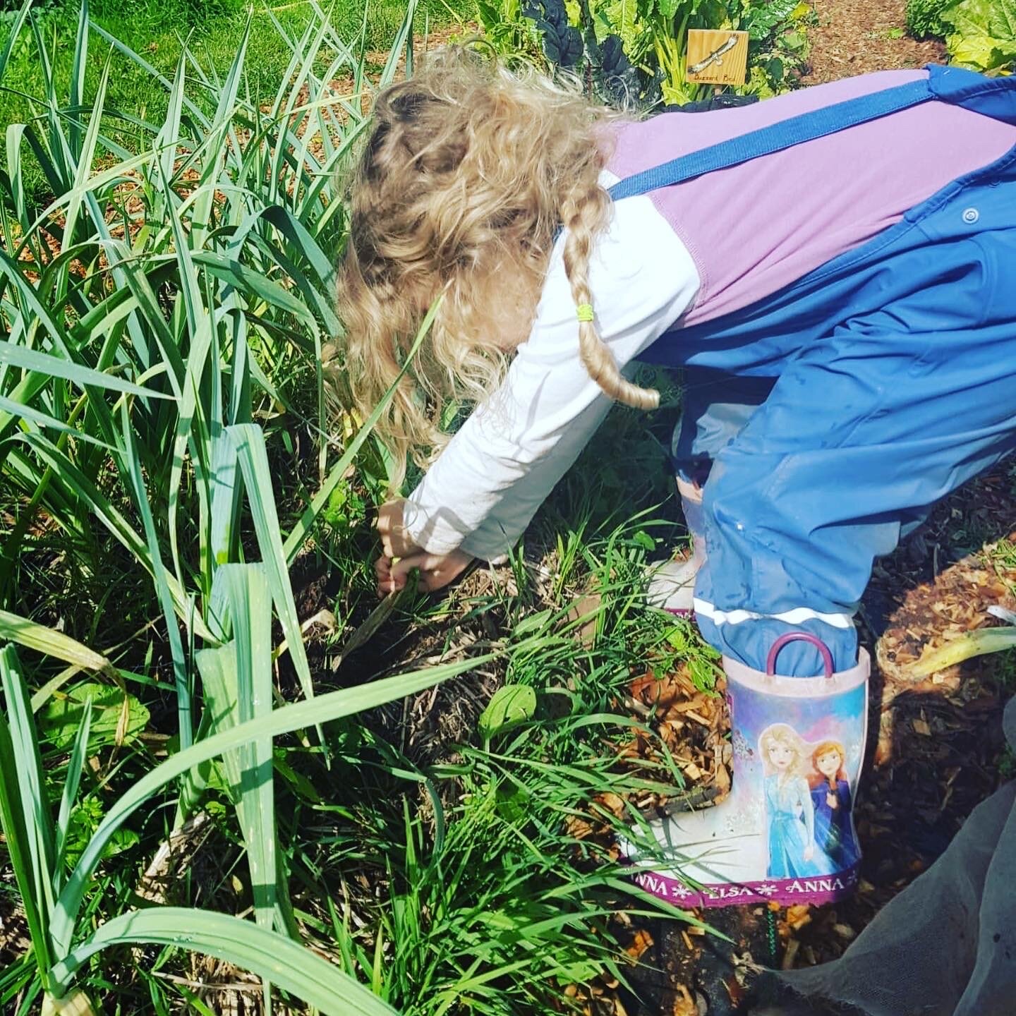 Shillingford Organics Farm School