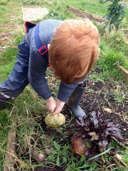 Shillingford Organics Farm School