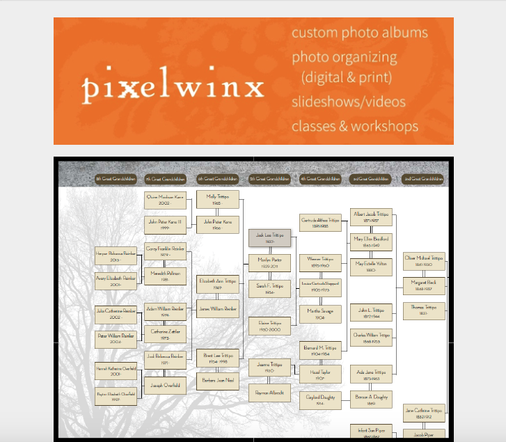 pixelwinx