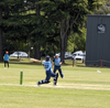 Veterans Cricket NSW