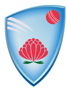 Upcoming Events — Veterans Cricket NSW