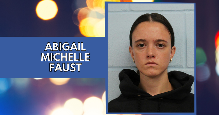 CHARGES: Ex-Teacher Targeted Teen While Employed as Nanny — MNCRIME.com