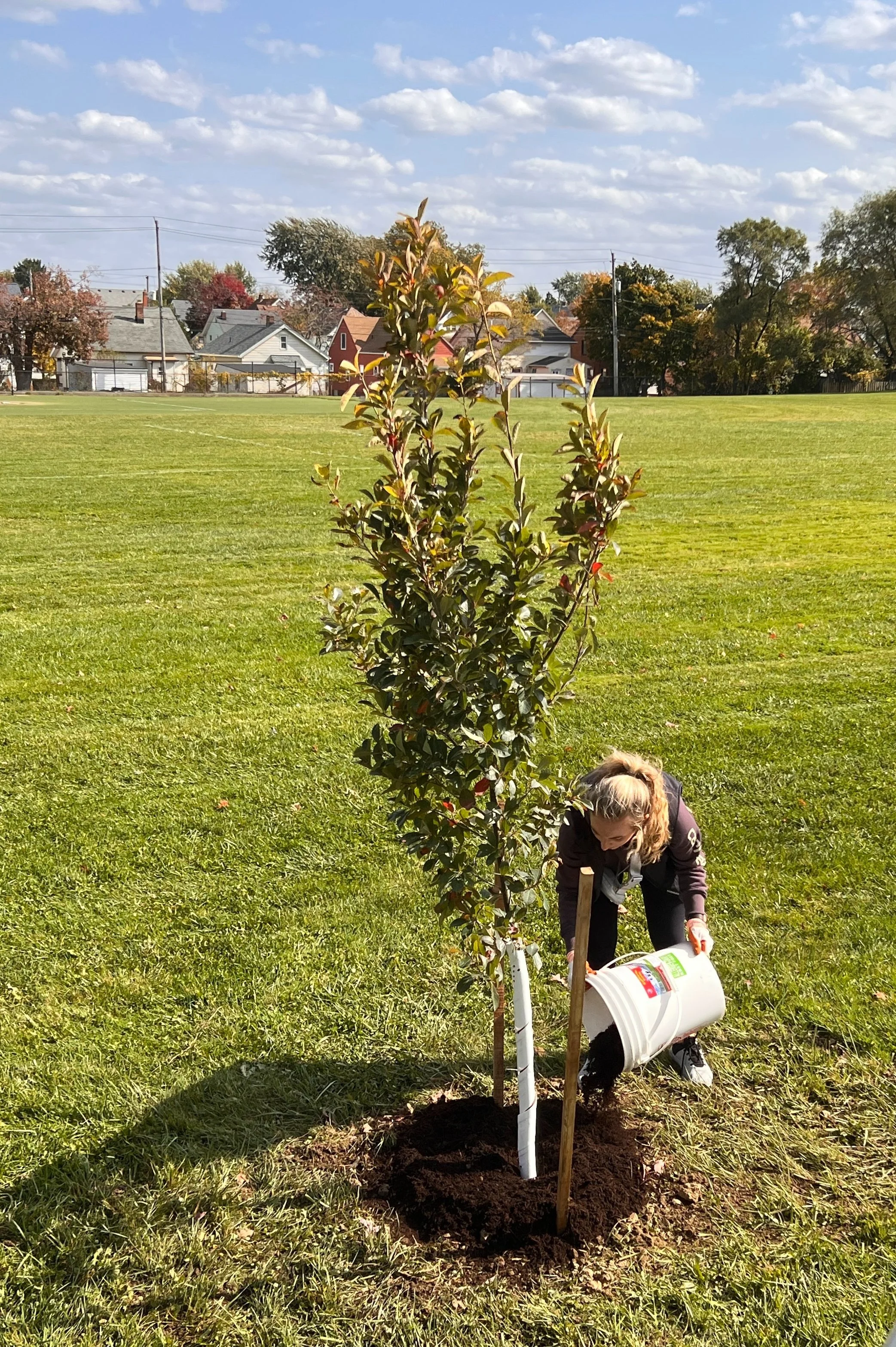 Tree Planting Events — www.oldbrooklyn.com
