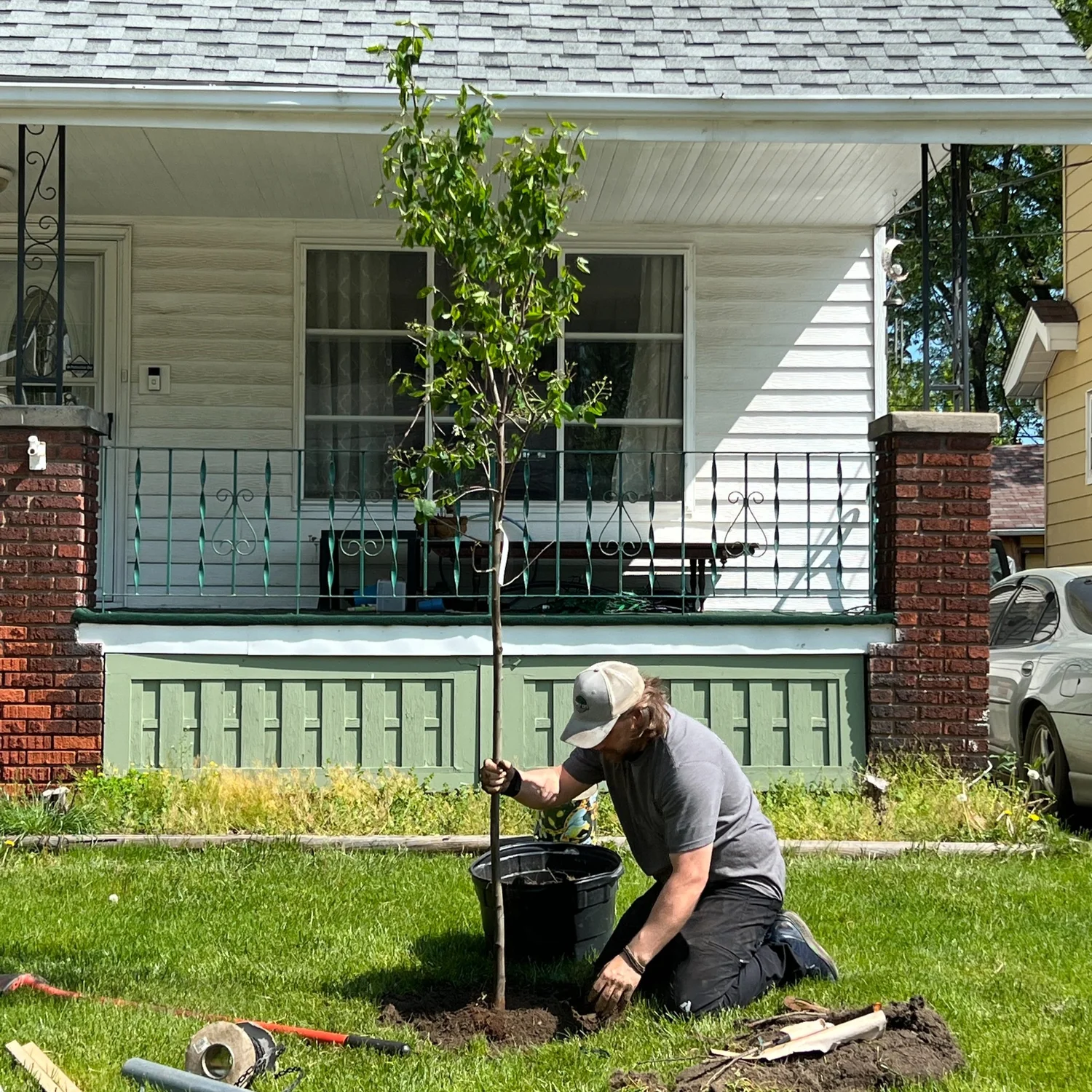Old Brooklyn Tree Planting Program — OBCDC