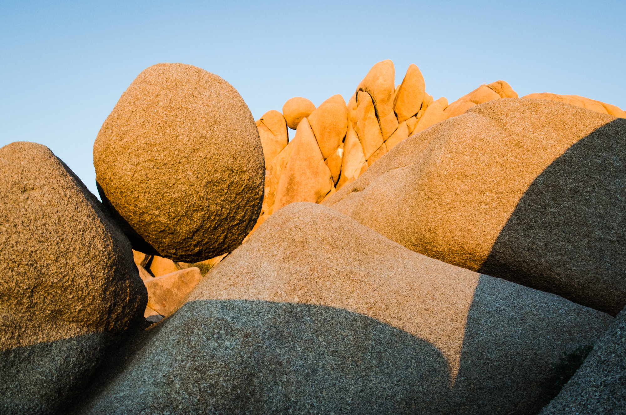 Underwater and Nature Photography by Jason Bradley — Bradley ...