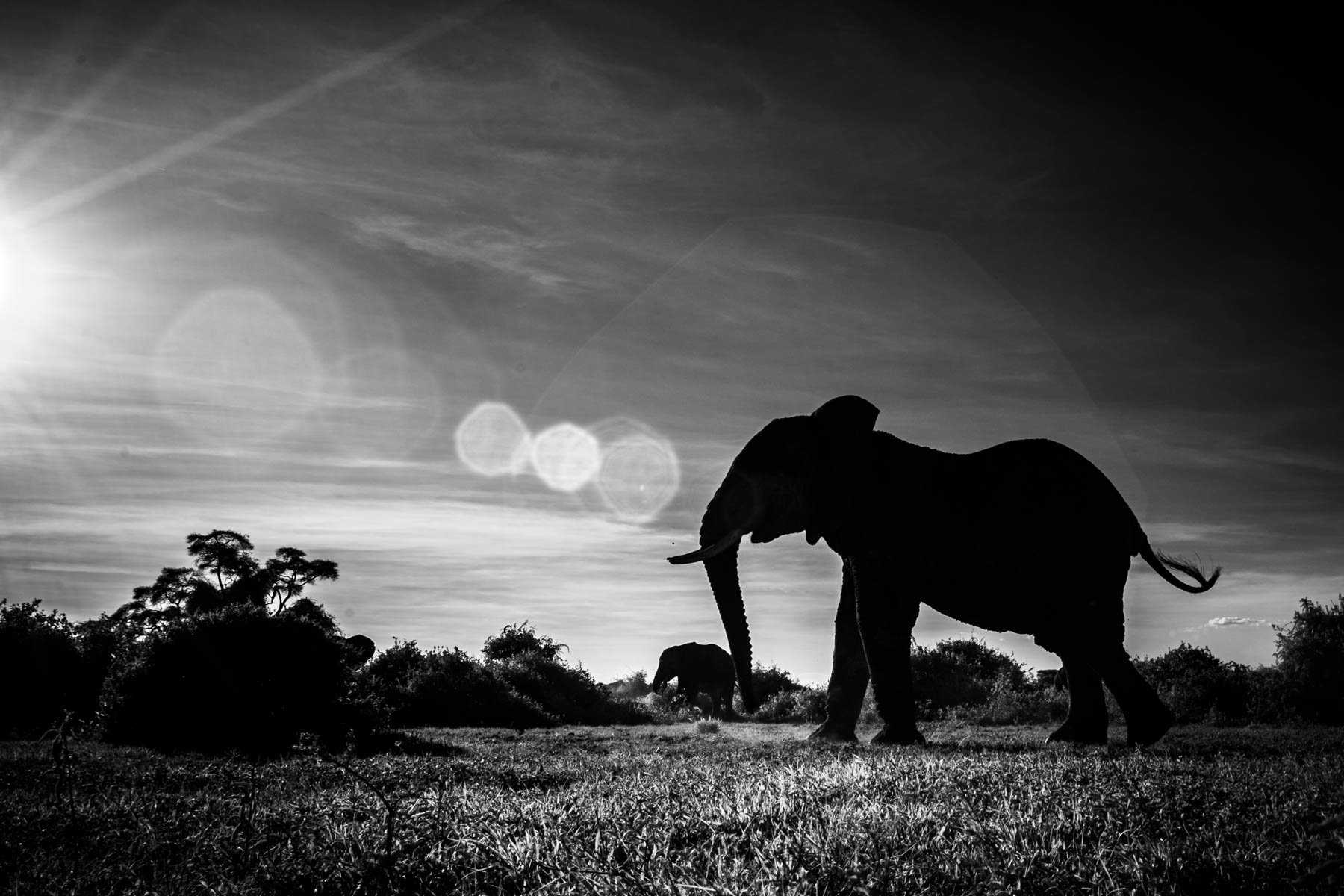 Underwater and Nature Photography by Jason Bradley — Bradley ...