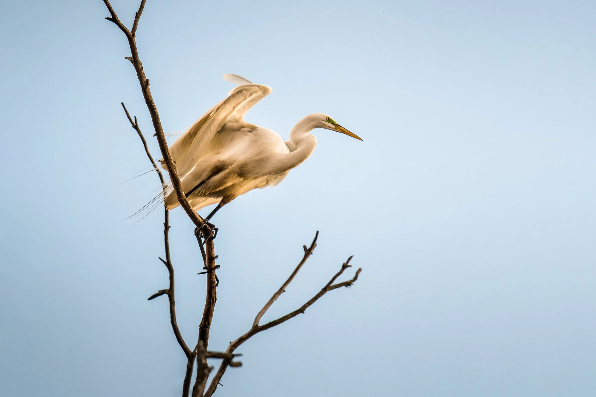 Elkhorn Slough Photography Workshop — Bradley Photographic: Print ...