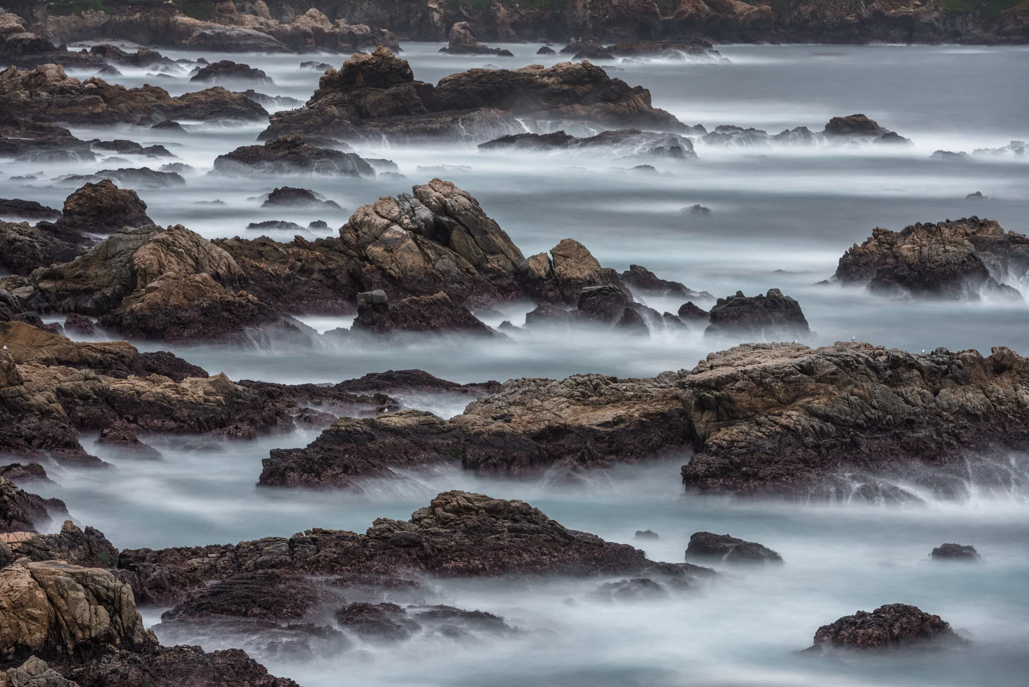 Photography Field Workshops — Bradley Photographic: Print Services ...