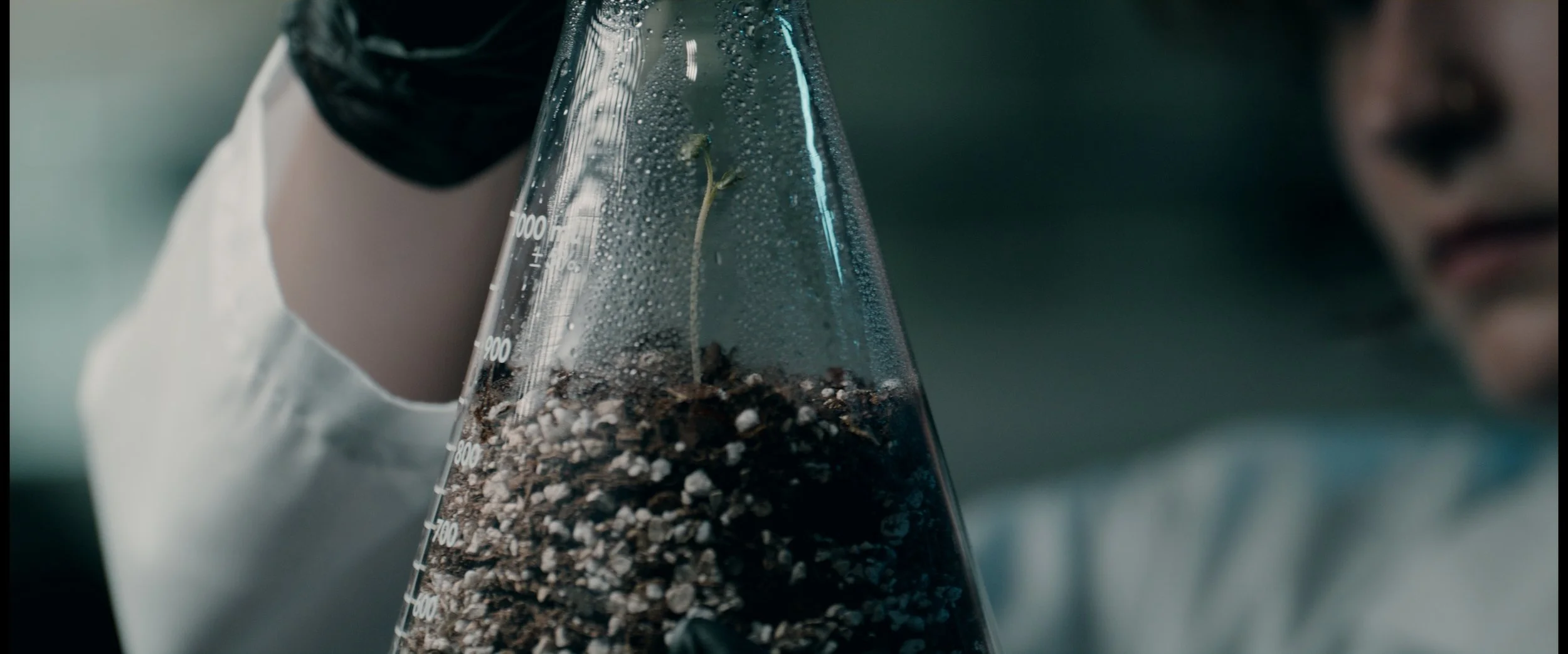 How it works — Simplifyber