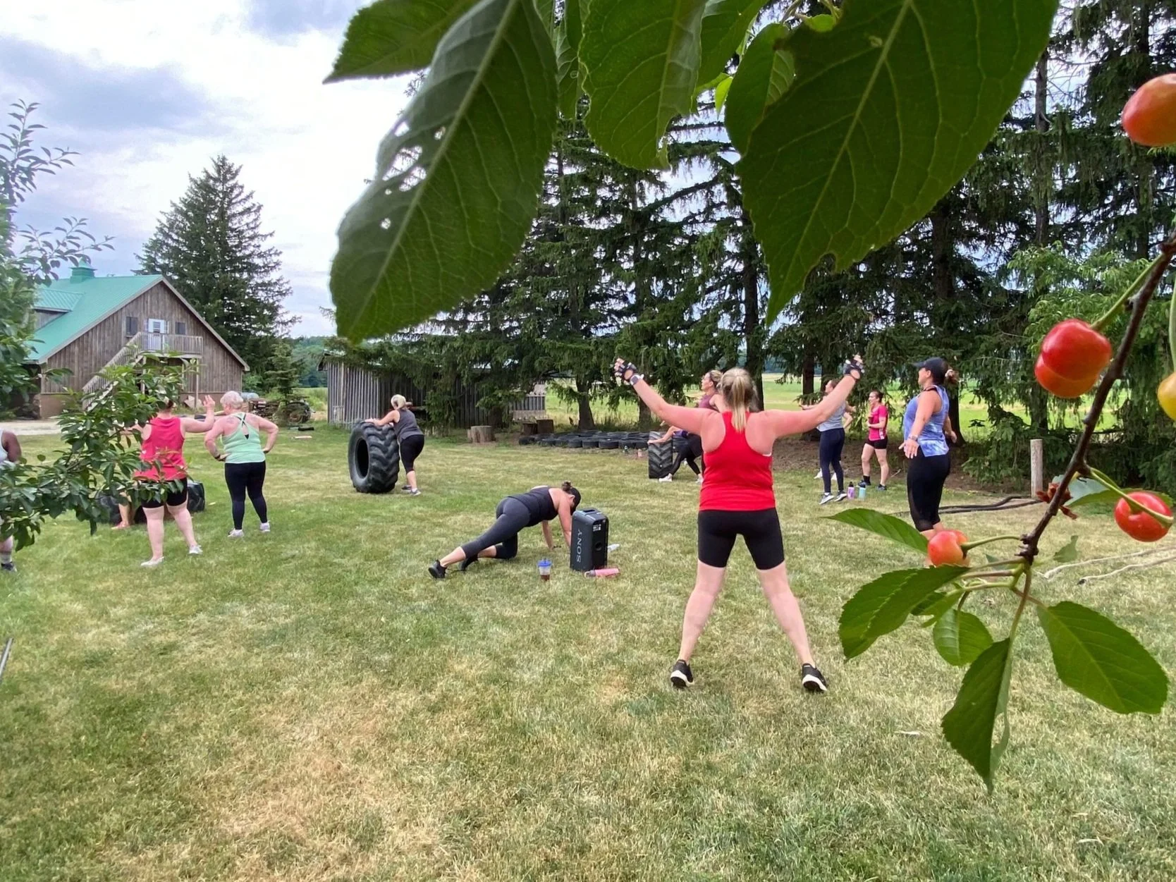 Group Training Classes — Farm Girl Fitness