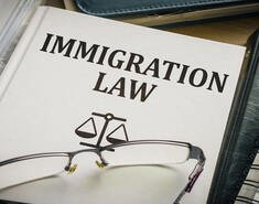 What Does An Immigration Lawyer Do?