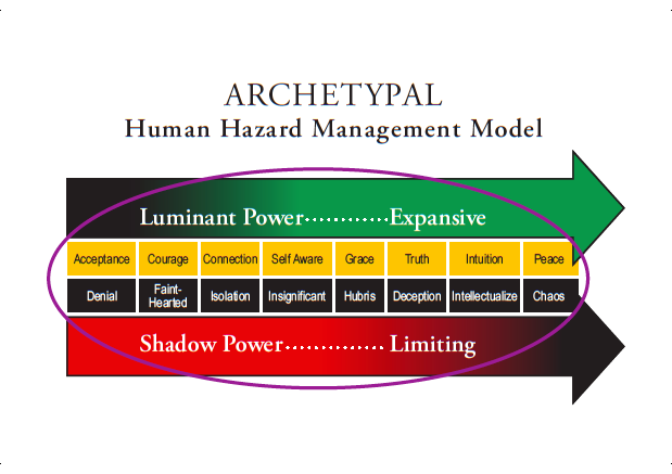 Human Hazard Management