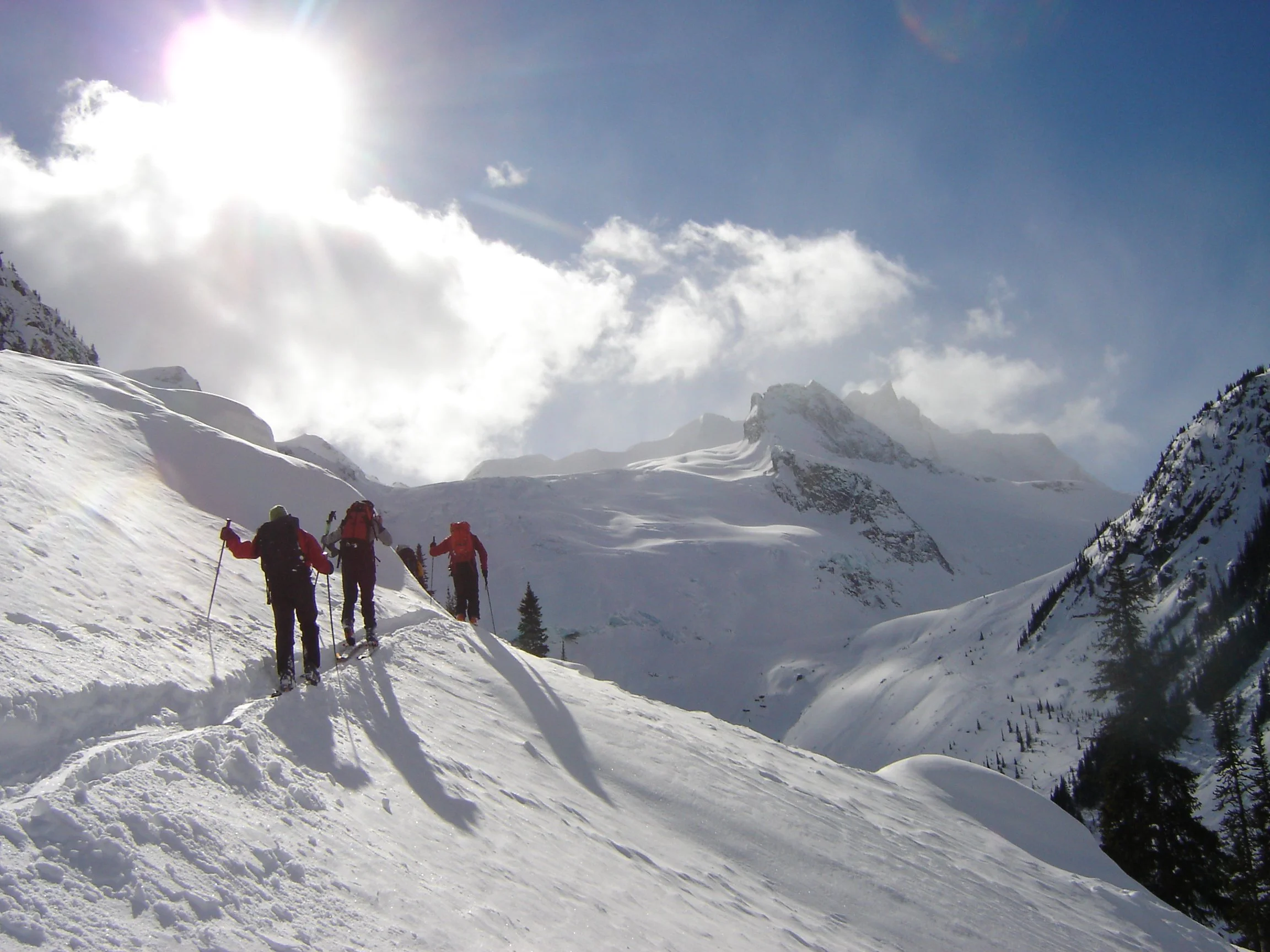 Human Hazard Management