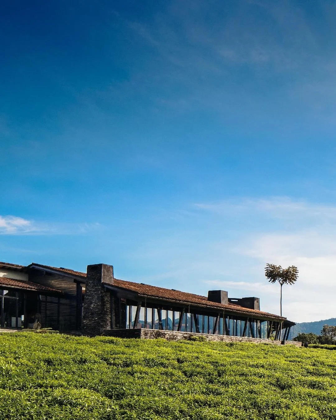 10 Luxury 5-Star Hotels in Africa for Culturally Immersive Stays ...