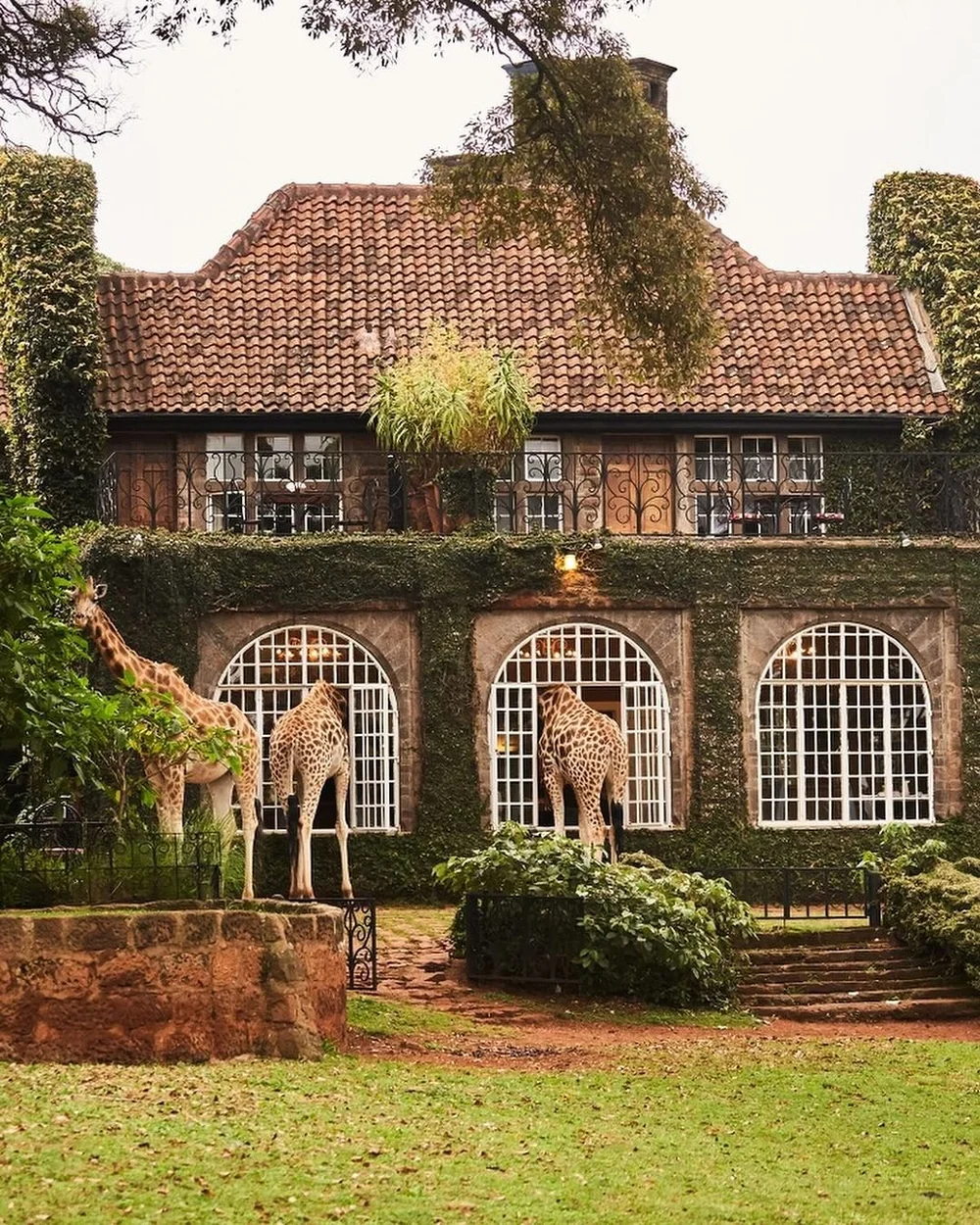 10 Luxury 5-Star Hotels in Africa for Culturally Immersive Stays ...