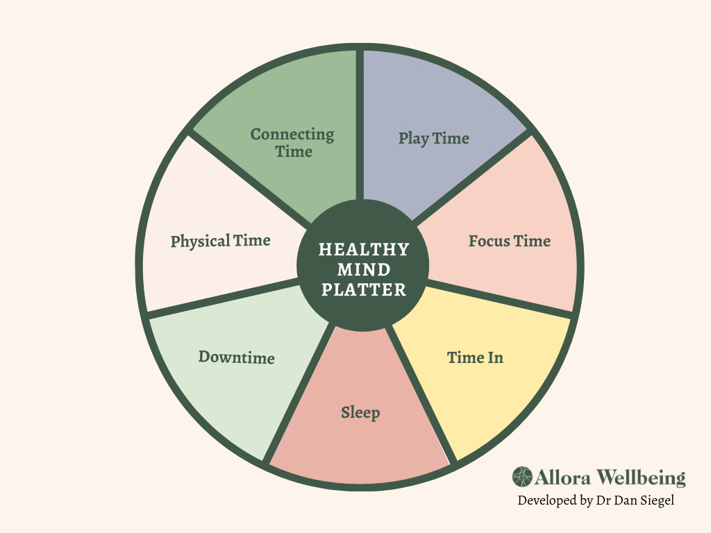 The Wellbeing Plate