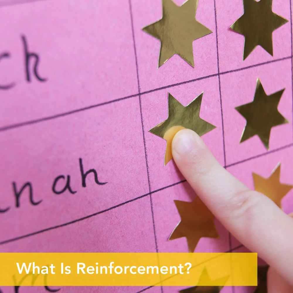 What Is Reinforcement? — Behavior Frontiers