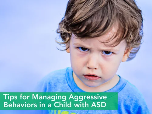 Tips for Managing Aggressive Behaviors — Behavior Frontiers