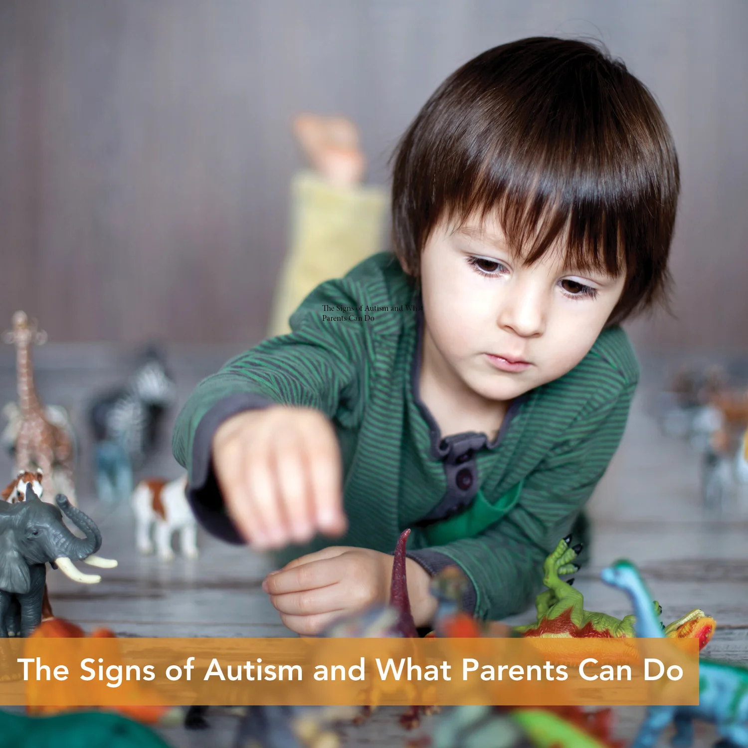 The Signs of Autism and What Parents Can Do — Behavior Frontiers