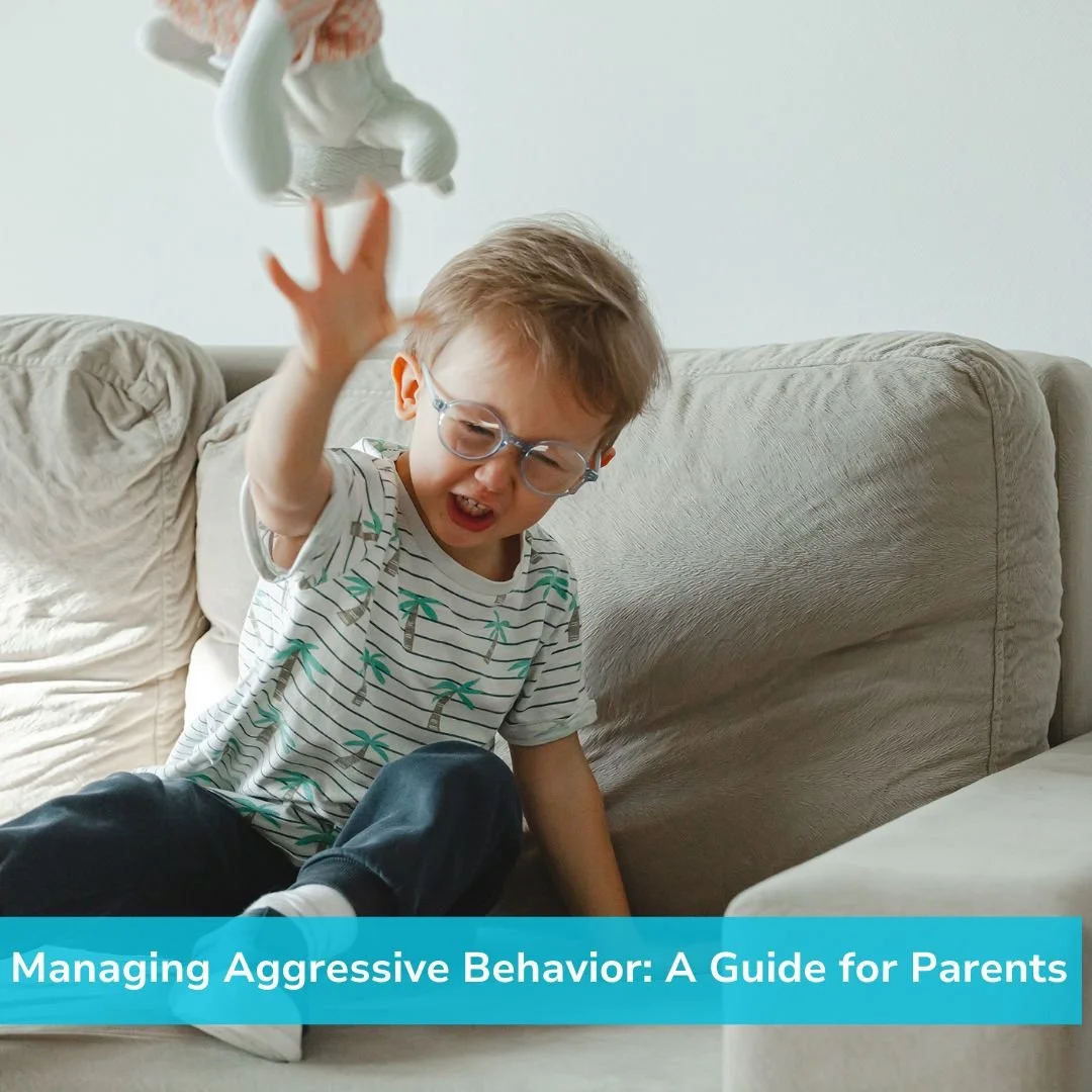 Managing Aggressive Behaviors: A Guide for Parents — Behavior Frontiers