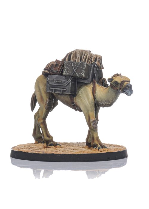 Miniature Camel
